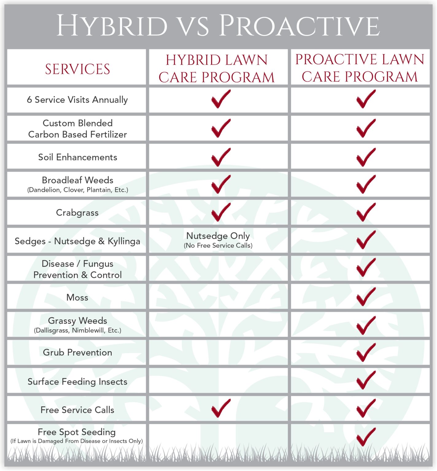 Lawn Care Plans & Weed Control | Elements Lawn & Pest