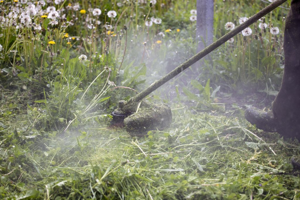 7 Common Lawn Care Mistakes and How to Avoid Them - Elements Lawn & Pest