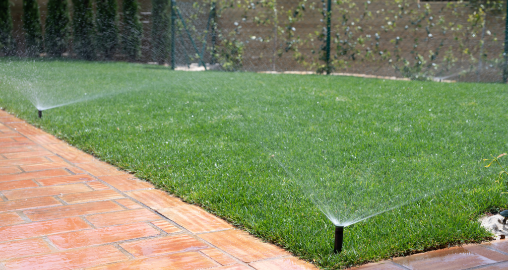 Watering and Irrigation Advice - Elements Lawn & Pest