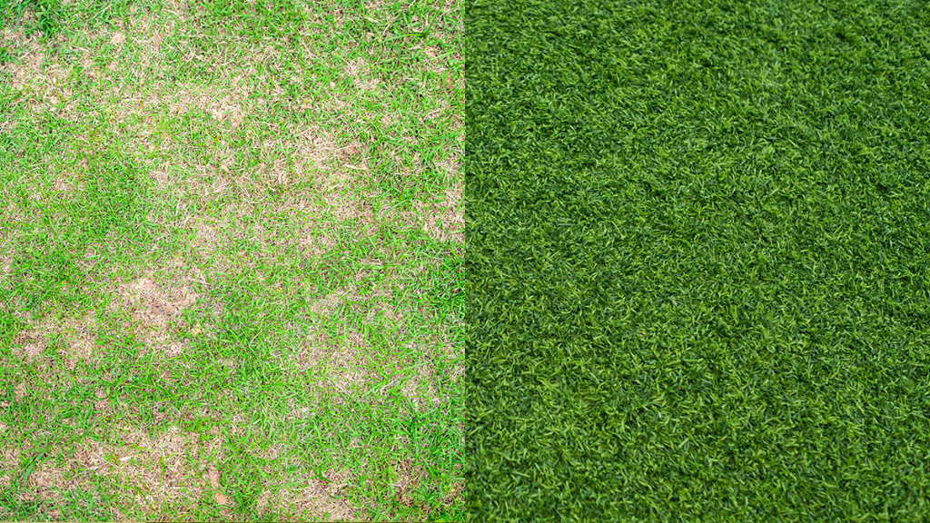 The Benefits of Hiring a Professional Lawn Care Service vs. DIY ...