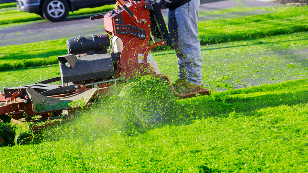 The Right Way to Mow: Lawn Mowing Tips for a Healthy, Lush Yard ...